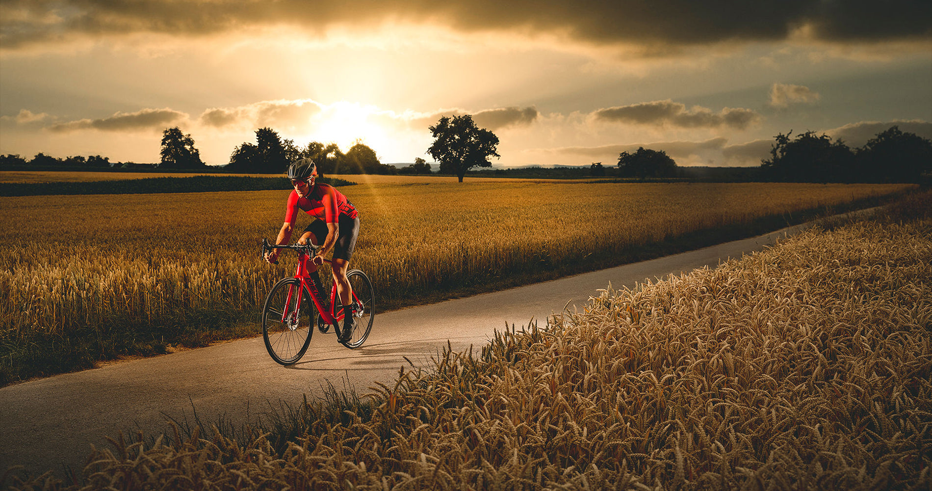 How to Choose the Right Merida Road Bike – 99bikes.co.nz